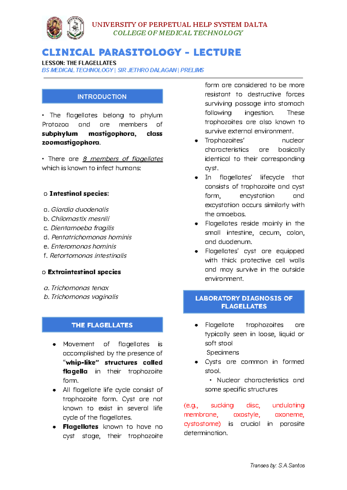 Clinical Parasitology (LEC) - The Flagellates Overview and Diagnosis ...