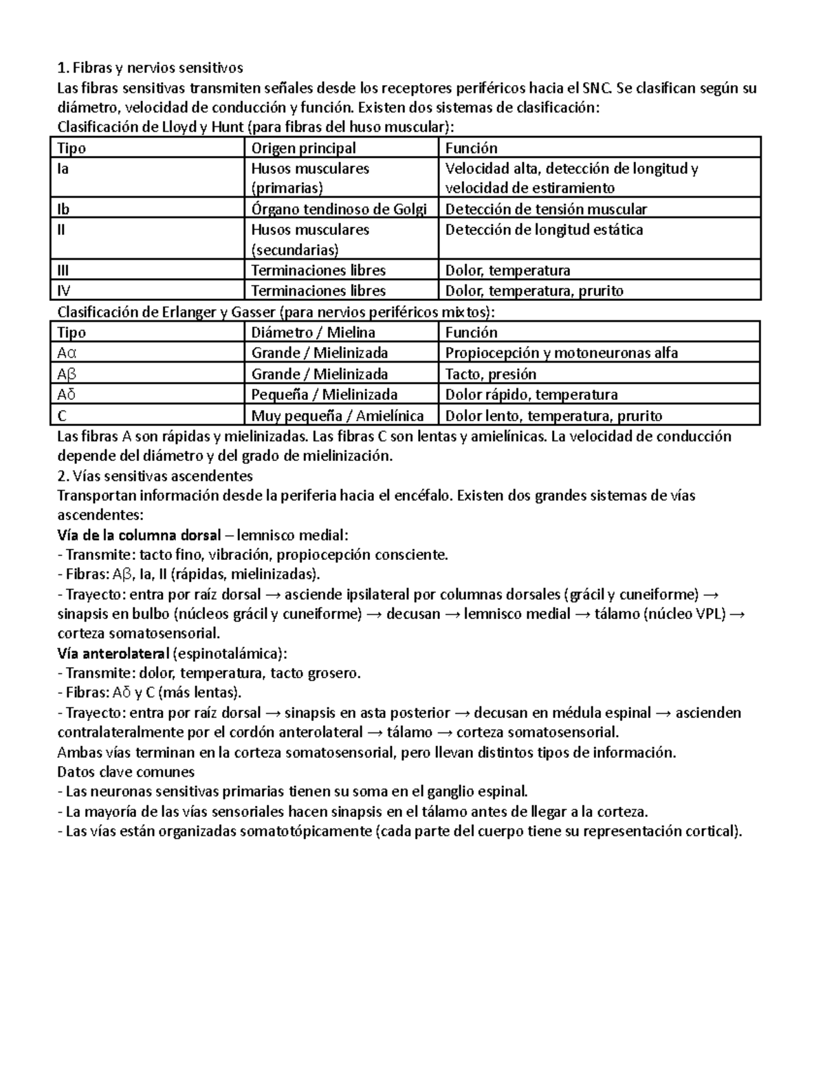 Vías Sensitivas y Fibras Nerviosas: Clasificación y Funciones - Studocu