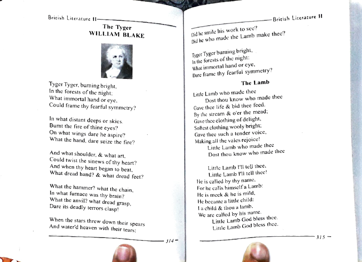 The Tyger and The Lamb: A Comparative Study of William Blake's Poetry ...