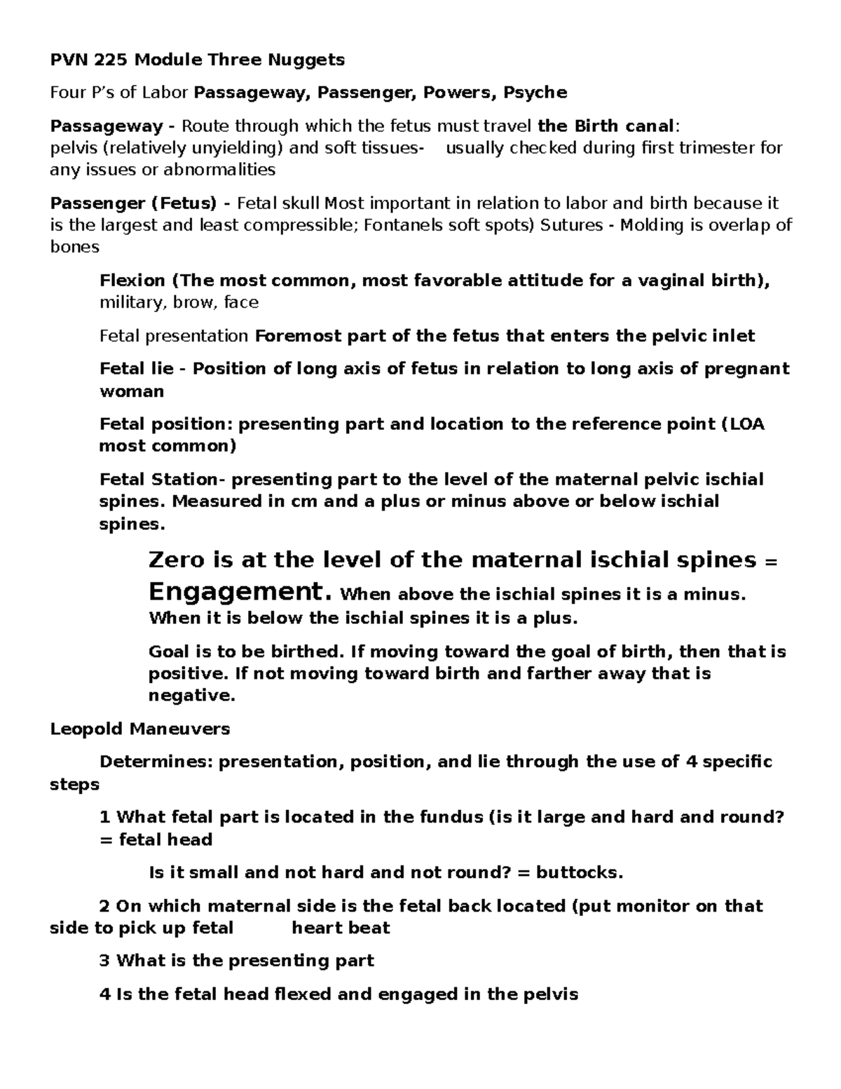 PVN 225 Module 3 Week 3 Nuggets: Labor Passageway & Fetal Dynamics ...