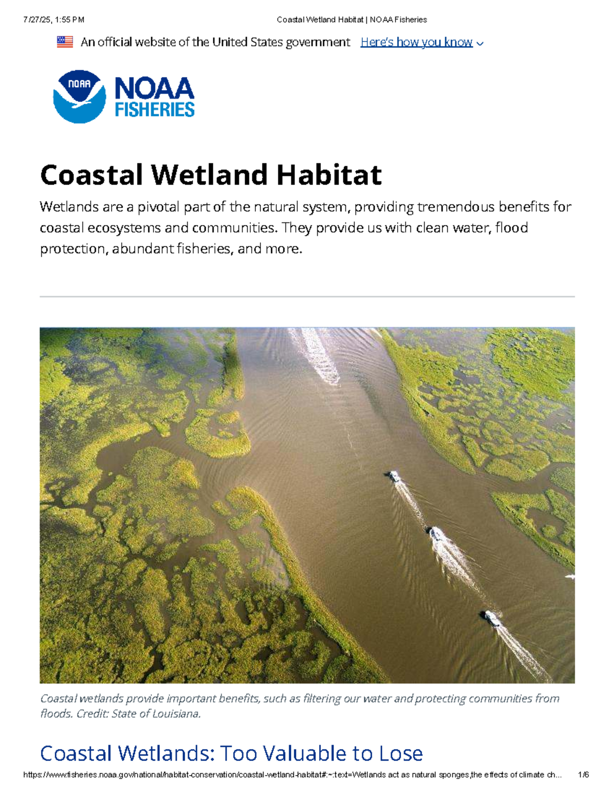 Coastal Wetland Habitat: Importance, Benefits, & Conservation Efforts ...