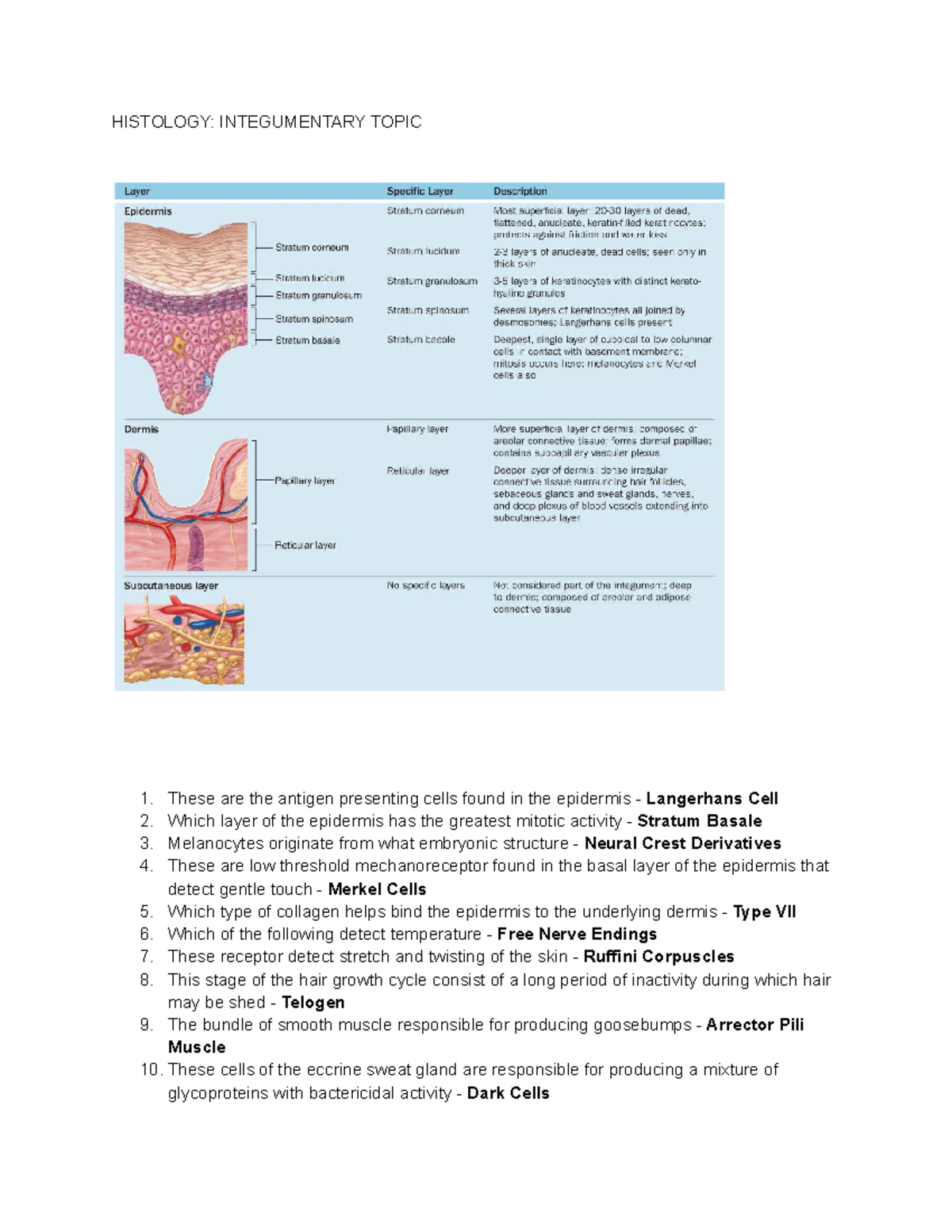 Histo-Integumentary-Reviewer - HISTOLOGY: INTEGUMENTARY TOPIC These are ...