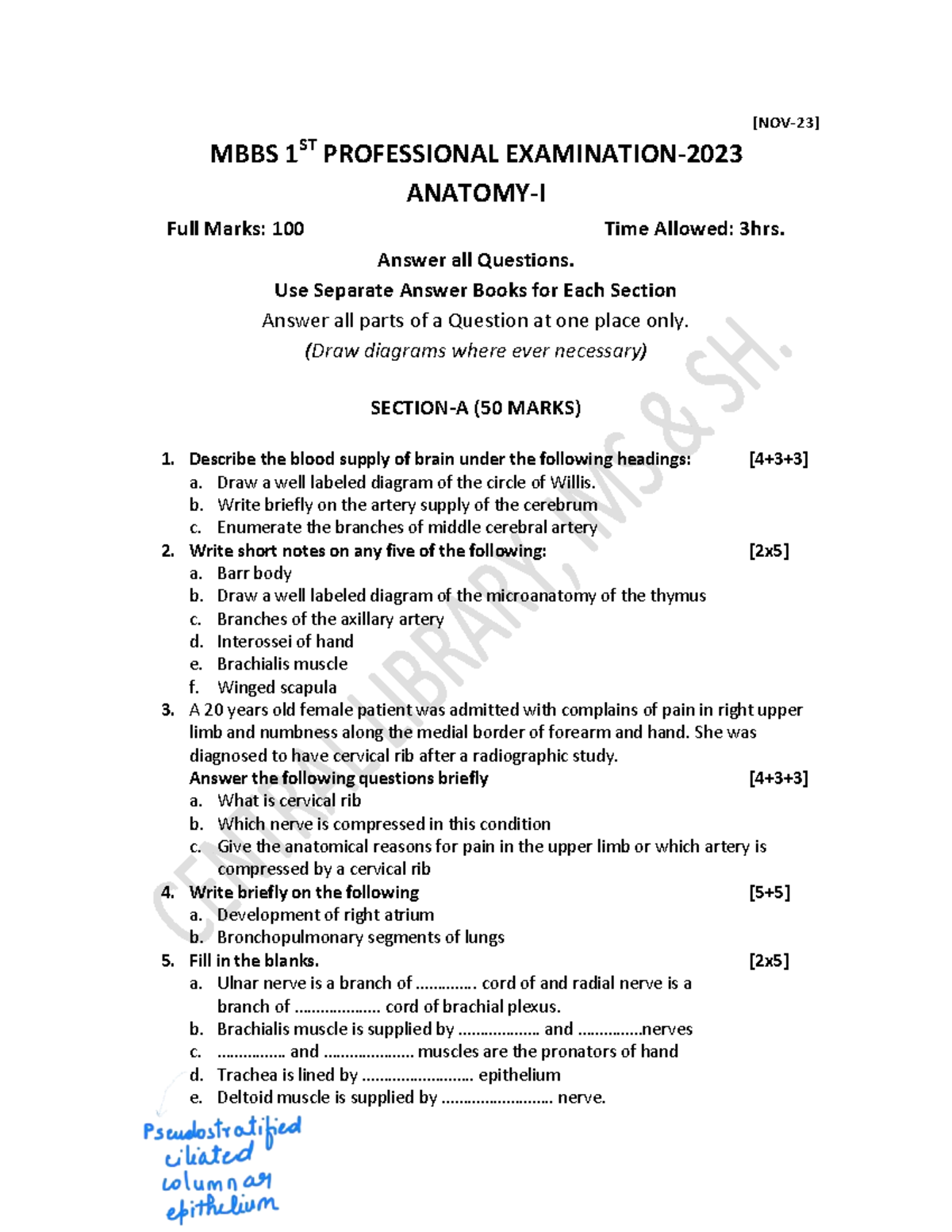 MBBS 1ST PROFESSIONAL Anatomy Practice Question Paper - Studocu