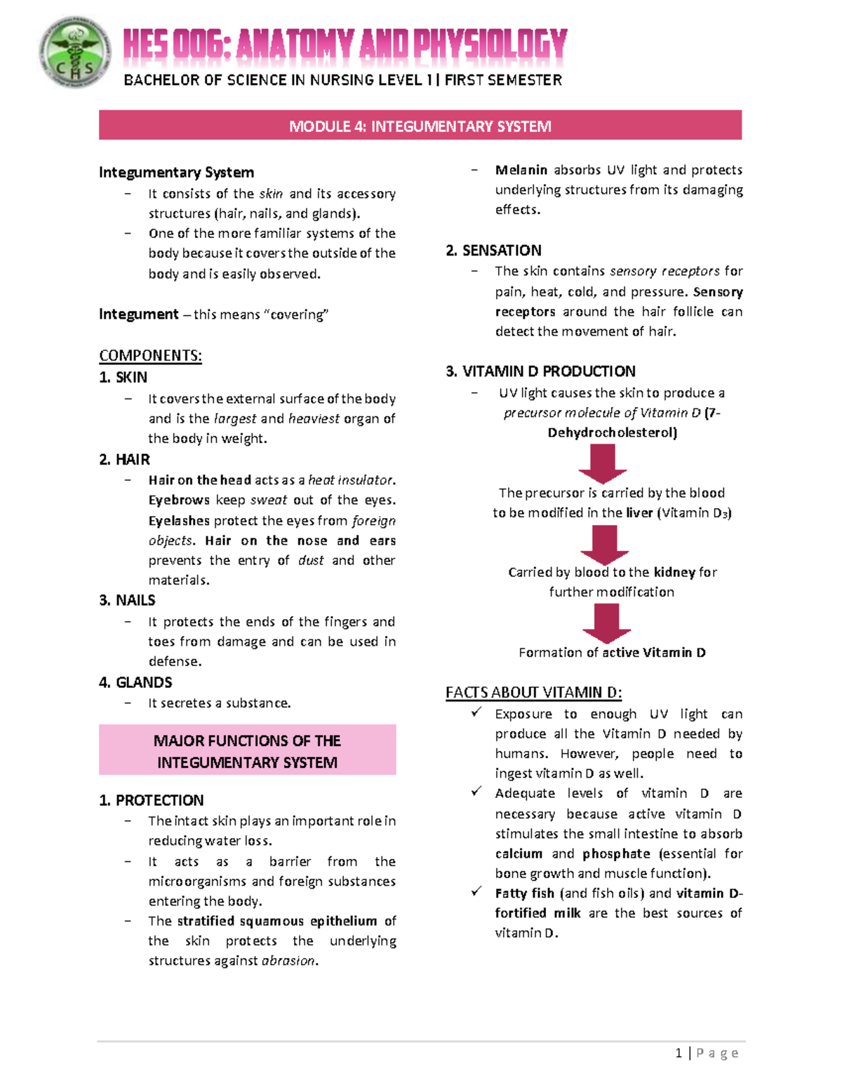 HES-006 - Lesson 4: Integumentary System Overview and Functions - Studocu