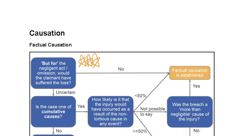 Factual Causation in Tort Law: Understanding the But For Test and ...