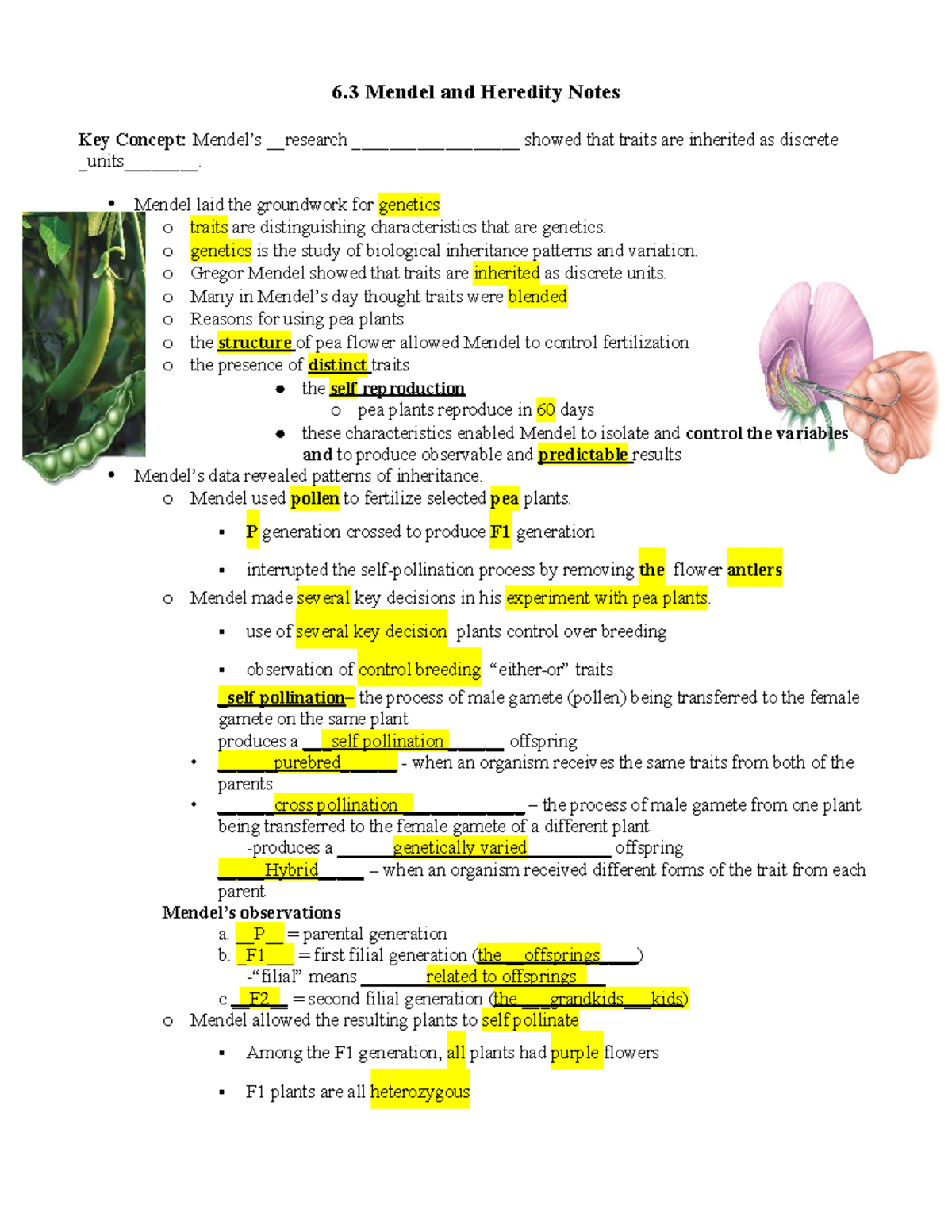 Copy of 6.3 Notes-Outline inheritance - 6 Mendel and Heredity Notes Key ...