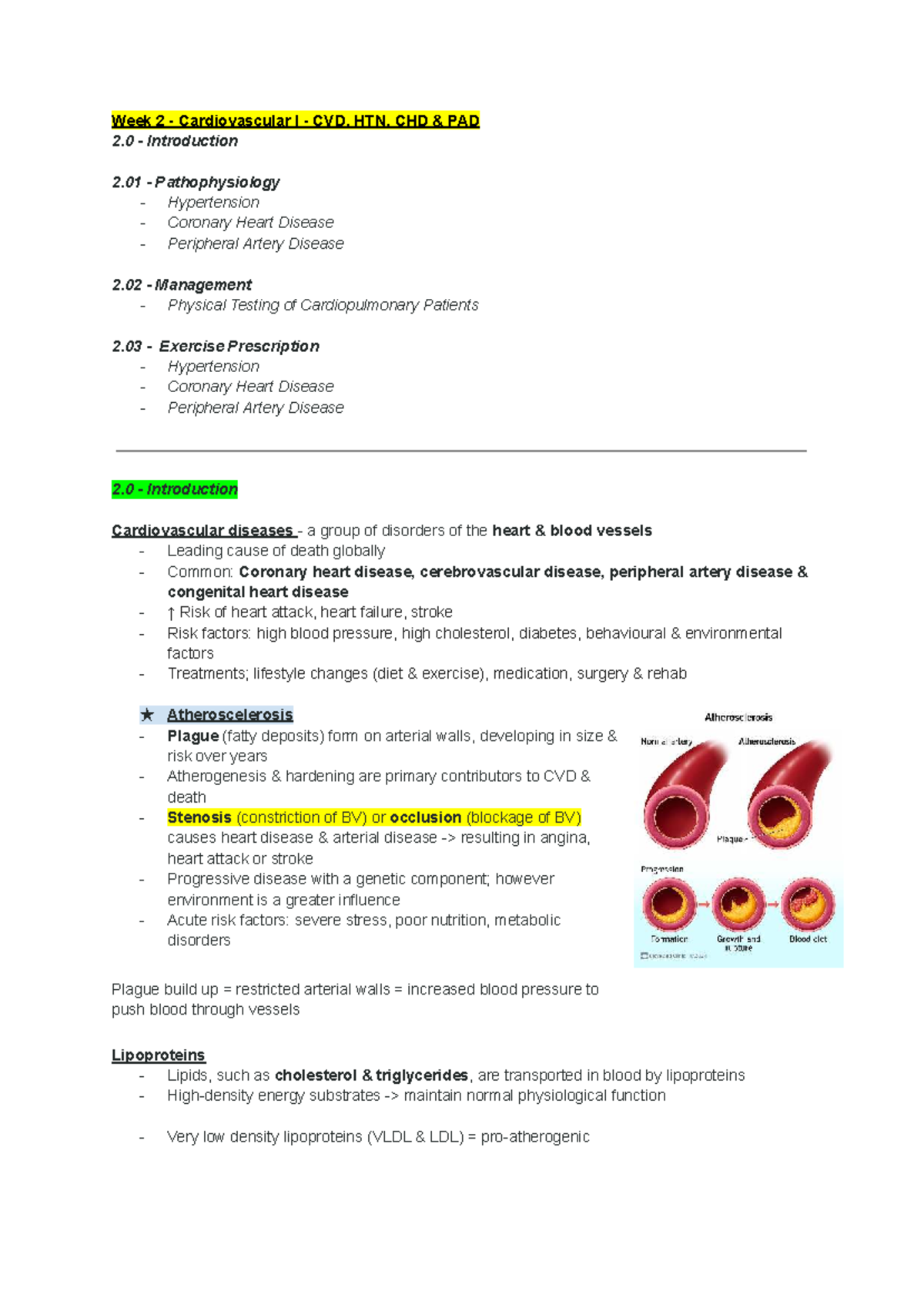 Week 2 cardiovascular I: CVD, HTN, CHD, PAD management and exercise ...