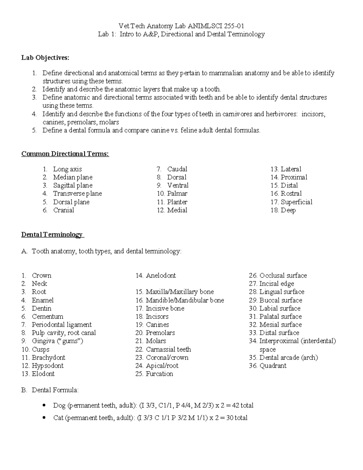 Vet Tech Anatomy Lab ANIMLSCI 255-01: A&P & Dental Terminology Overview ...