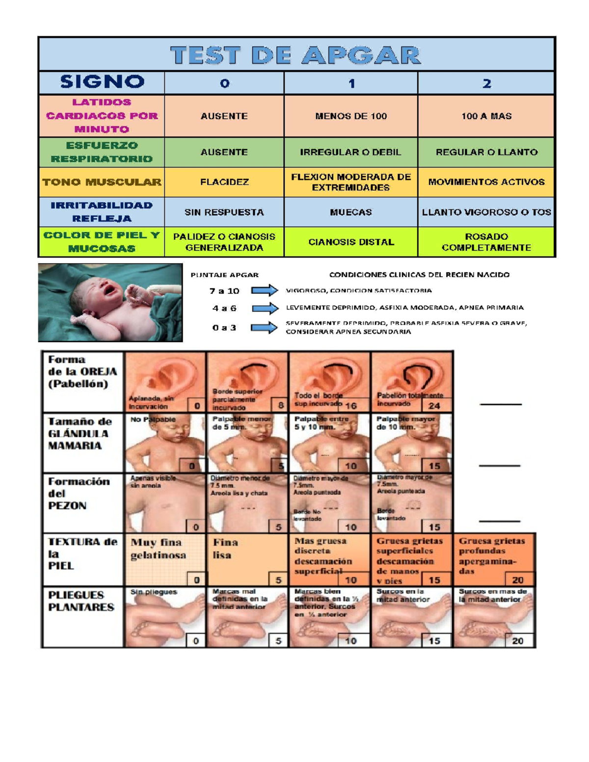 Escala de Evaluación APGAR y Flebitis en Neonatos y Pacientes ...