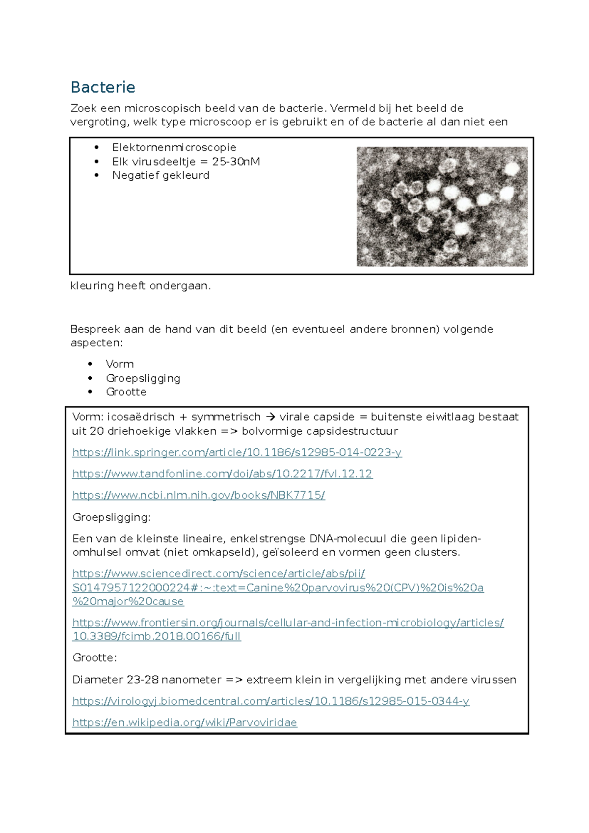 Deelopdracht Bacteria: Microscopische Analyse van Bacteriën en Virussen ...