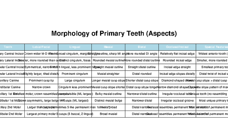 Primary Teeth Morphology: Special Features of Each Tooth Type - Studocu