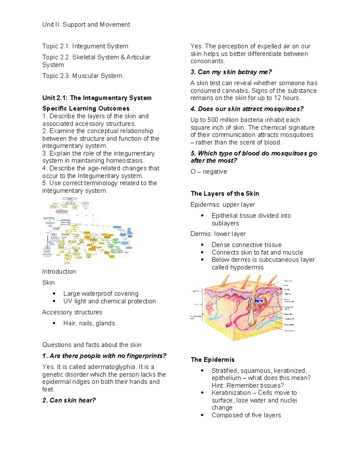 Unit 2 - Integumentary & Skeletal Systems Overview (ANPH 1001) - Studocu