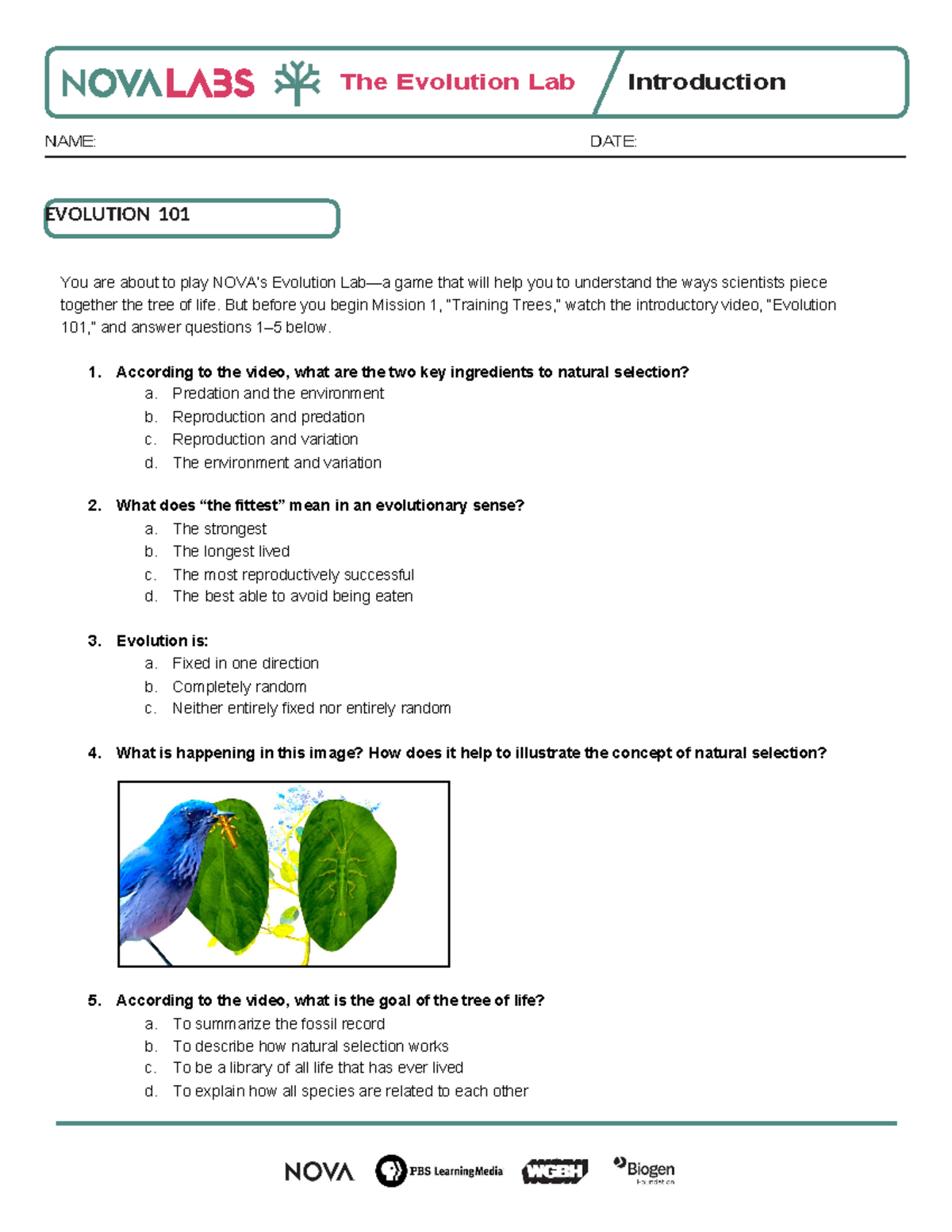 NOVA Evolution Lab Worksheet: Understanding Evolution with Fun ...
