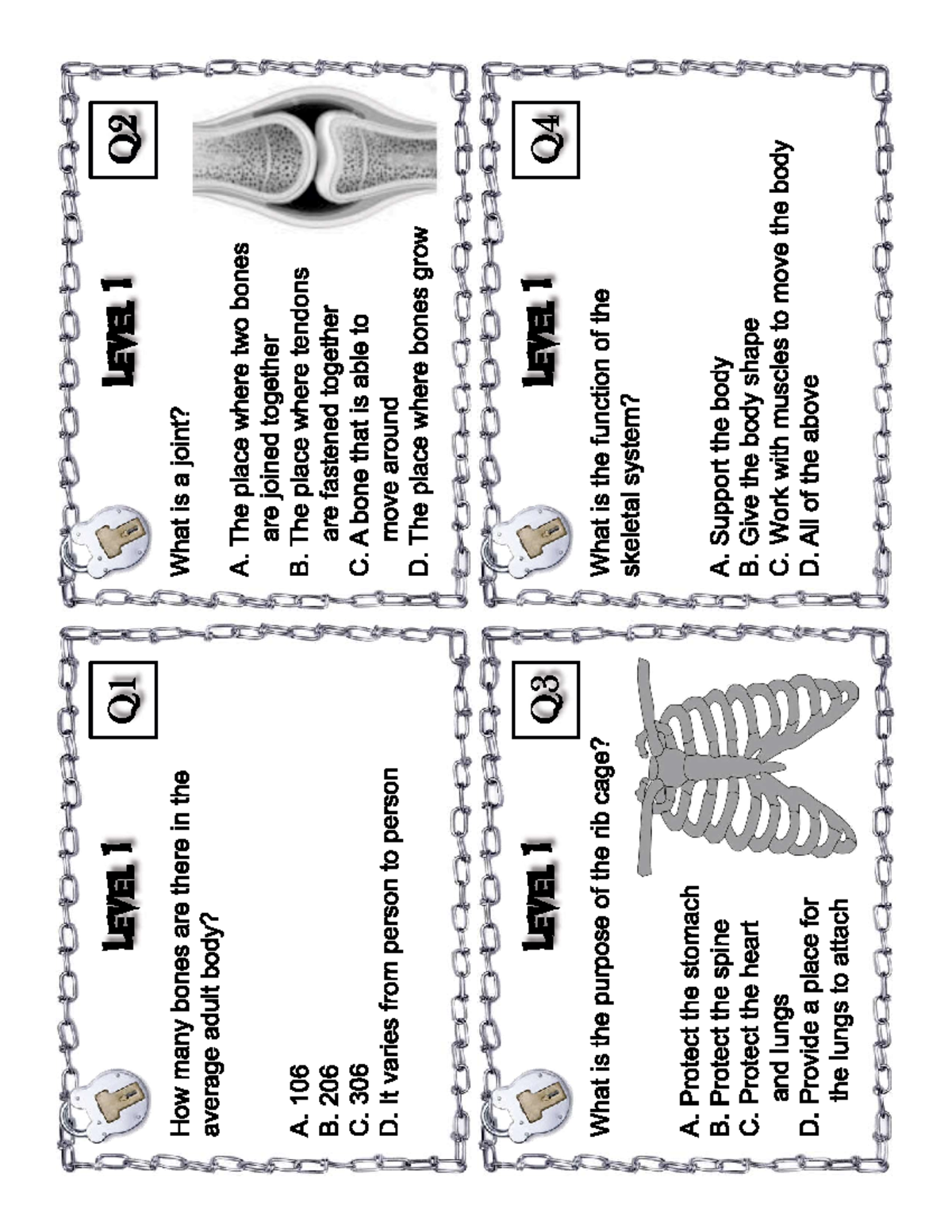 Skeletal System Escape Room Levels - LEVEL 1 Q1 LEVEL 1 Q2 How many ...