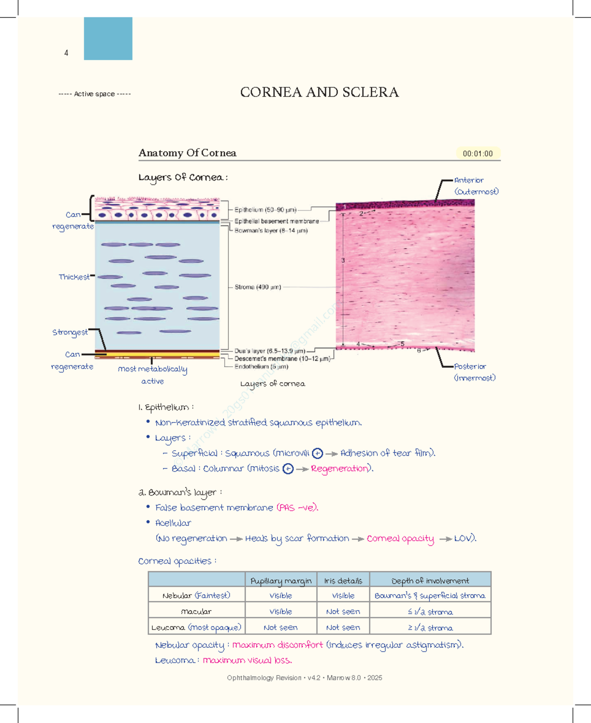 Ophthalmology 01 4a: Cornea and Sclera Anatomy & Pathology Notes - Studocu