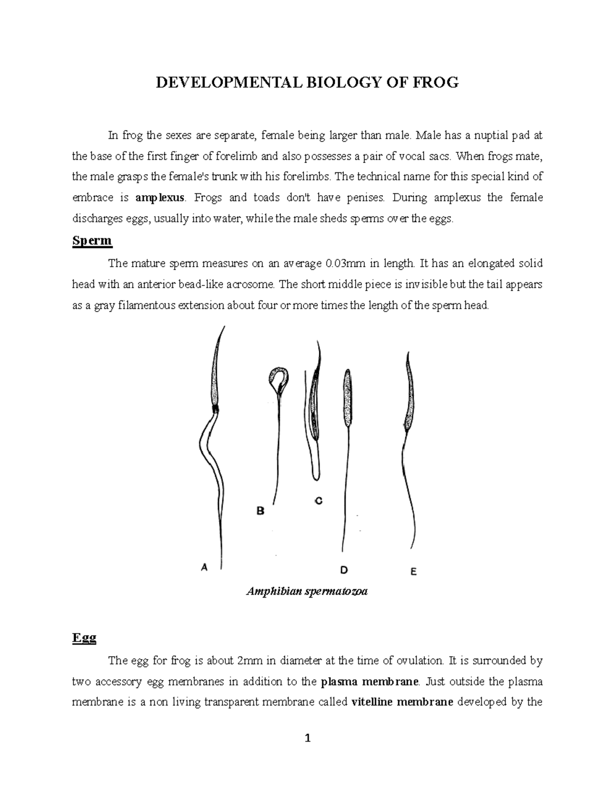 Frog Embryo Development Notes: Insights & Key Stages in Bio 101 - Studocu