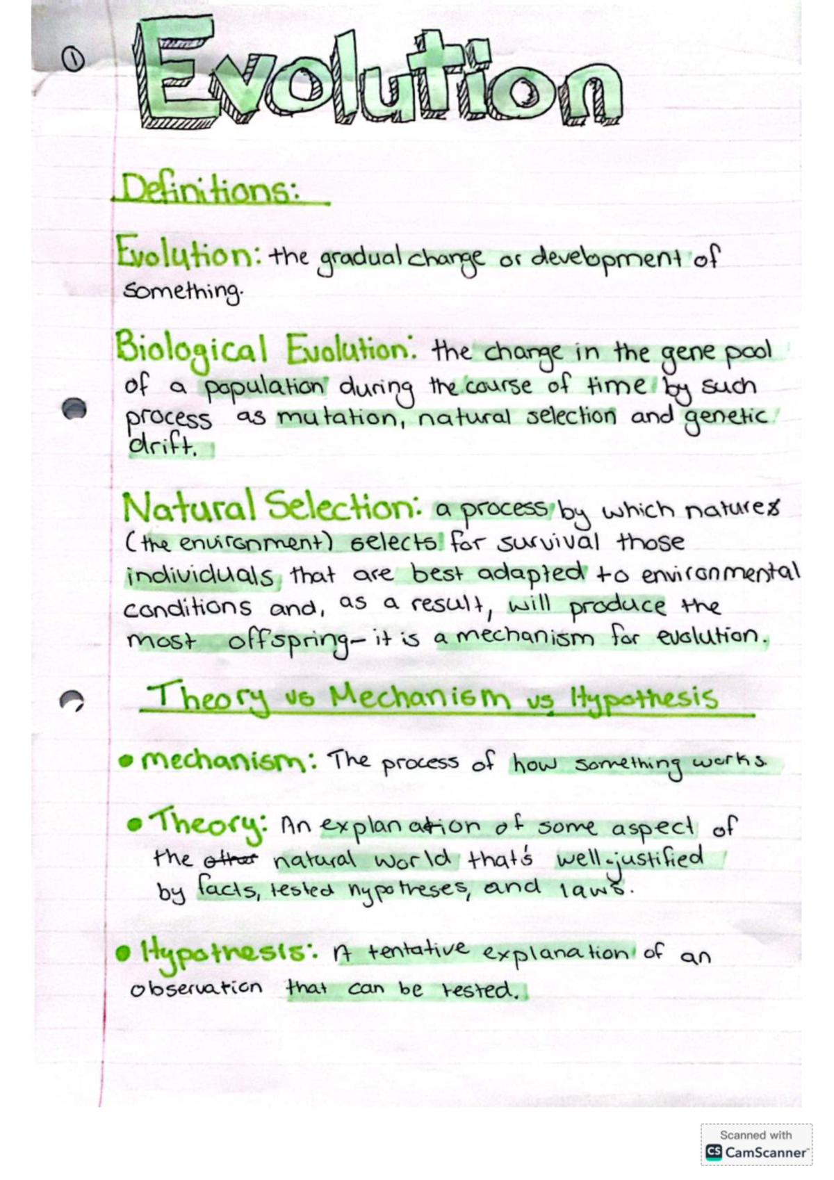 Evolution Theories & Evidence: IEB Study Notes - Studocu