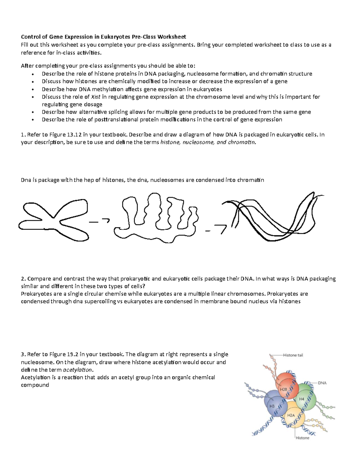 Week 7b Eukaryotic Gene Expression - Control of Gene Expression in ...