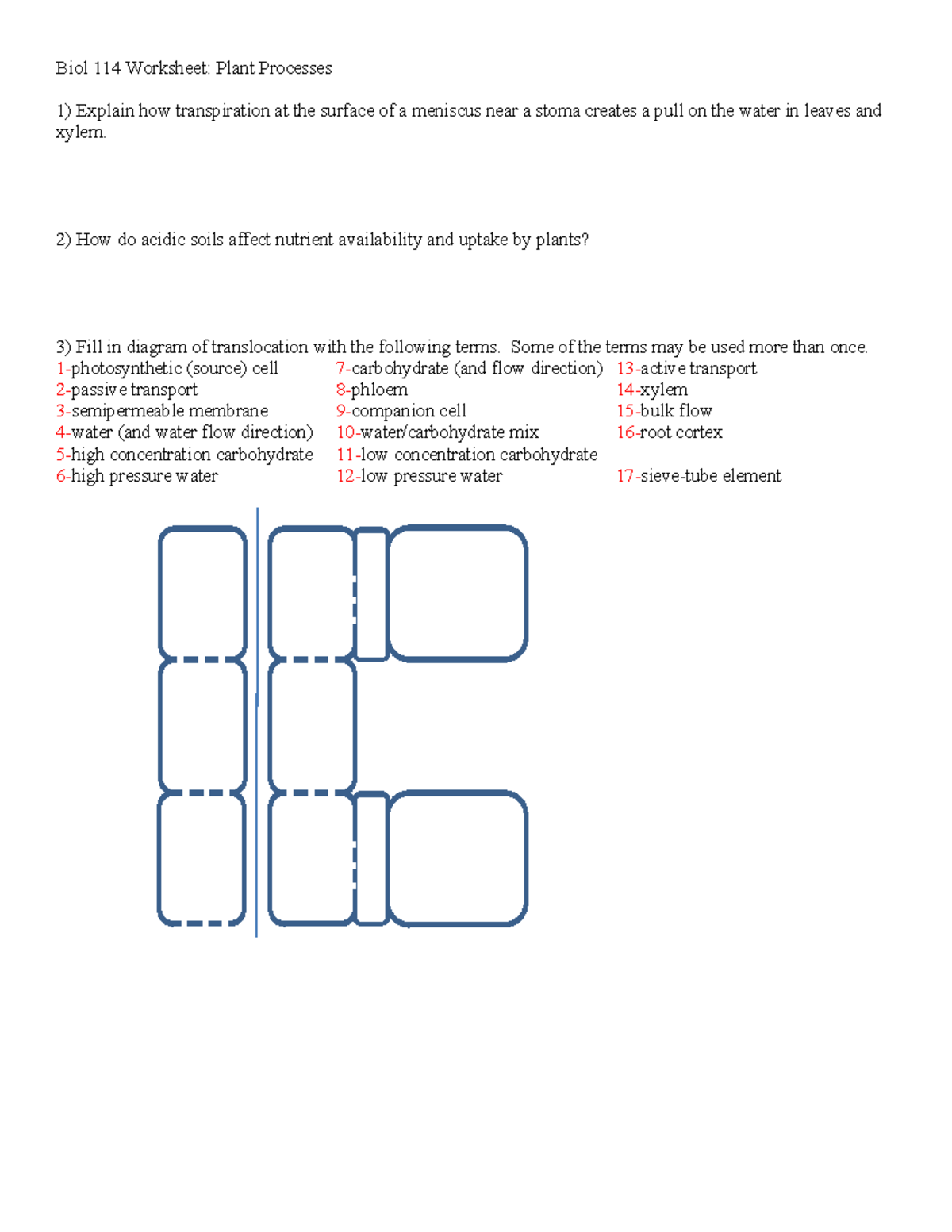 3-14 In-class worksheet- Plant Processes KEY - Biol 114 Worksheet ...