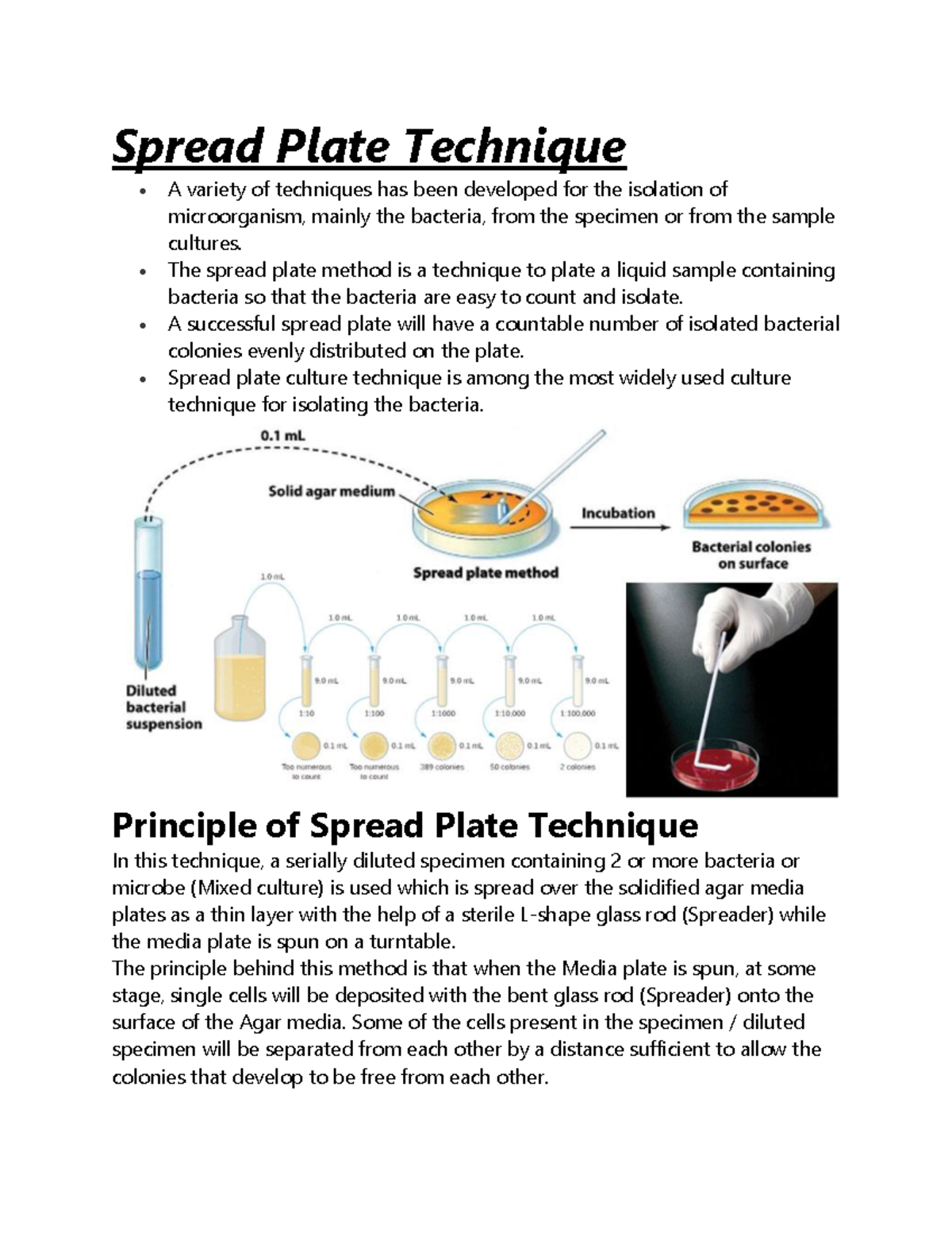 2-Spread Plate Technique - Spread Plate Technique A variety of ...