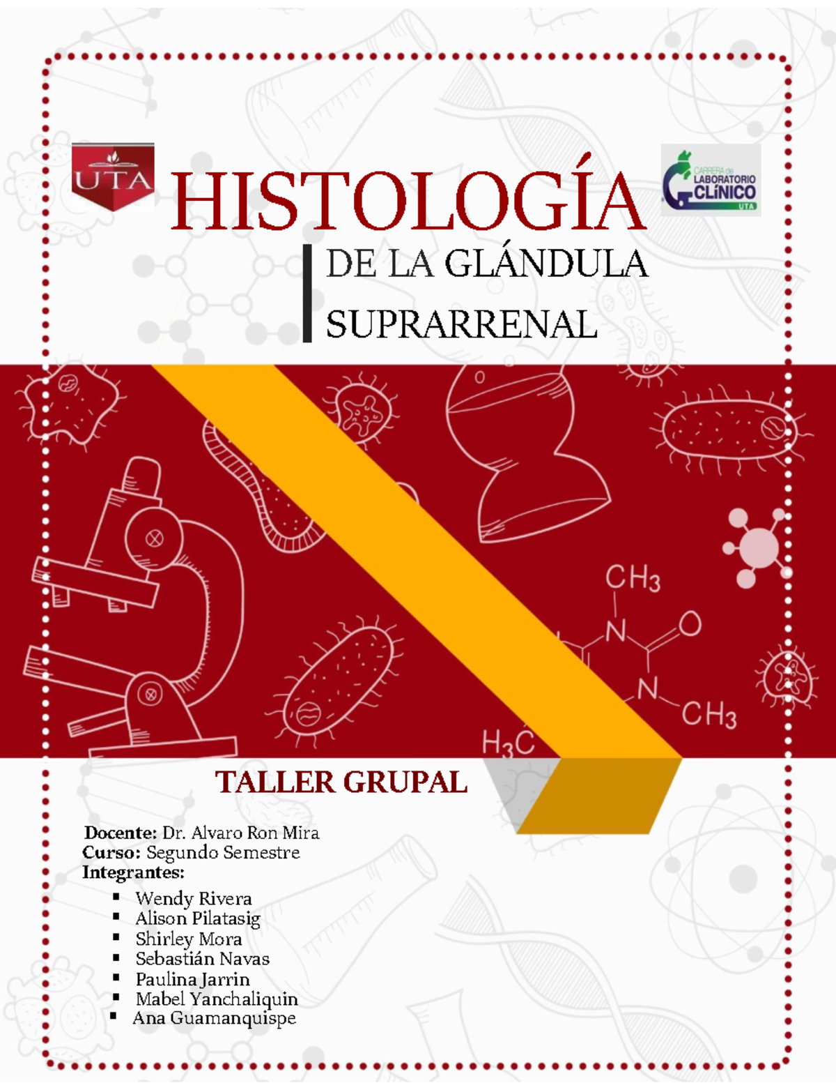 Exposición Glandula Suprarrenal Histología - TALLER GRUPAL HISTOLOG Õ A DE LA GL¡NDULA ...