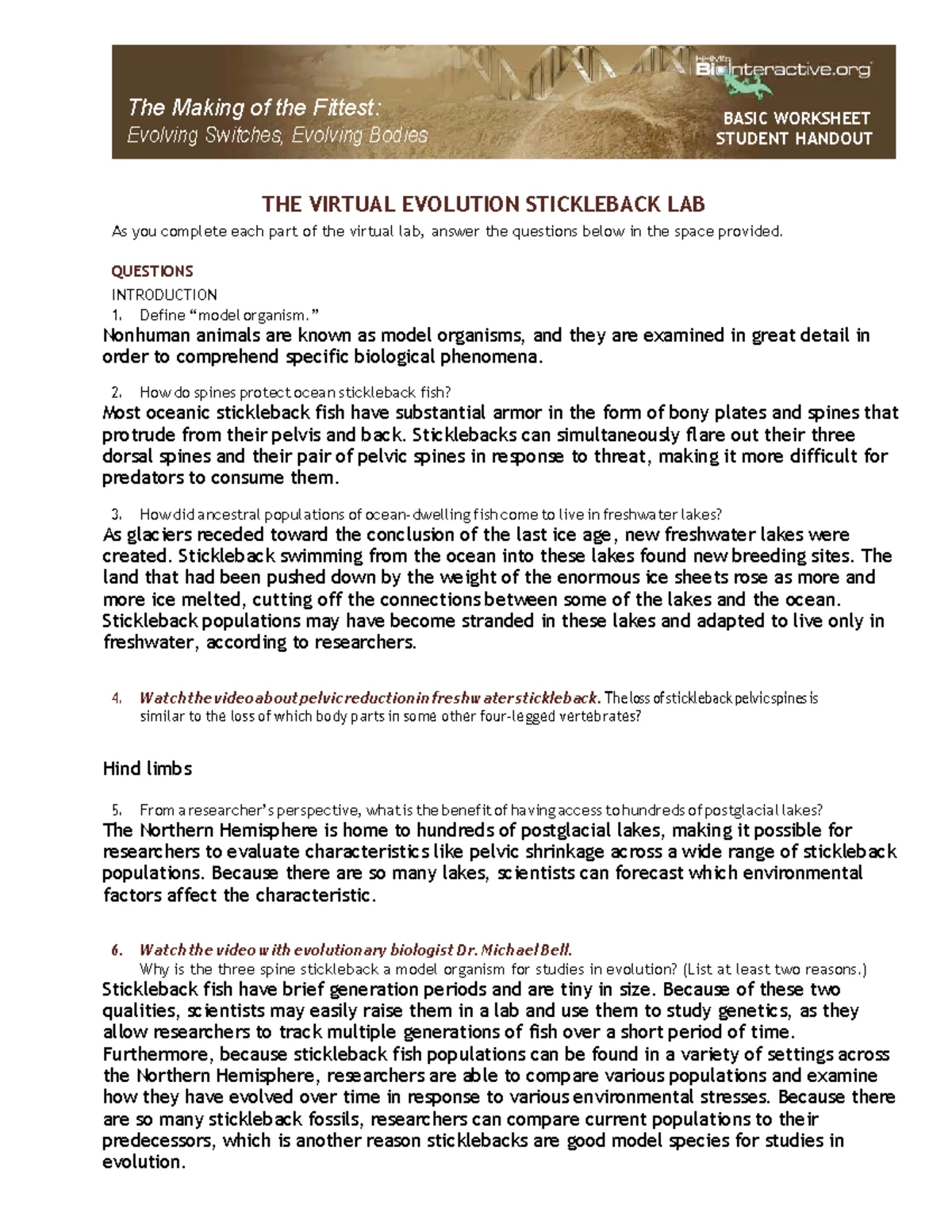 Stickleback Basic Lab Student-converted - THE VIRTUAL EVOLUTION STICKLEBACK LAB As you complete ...