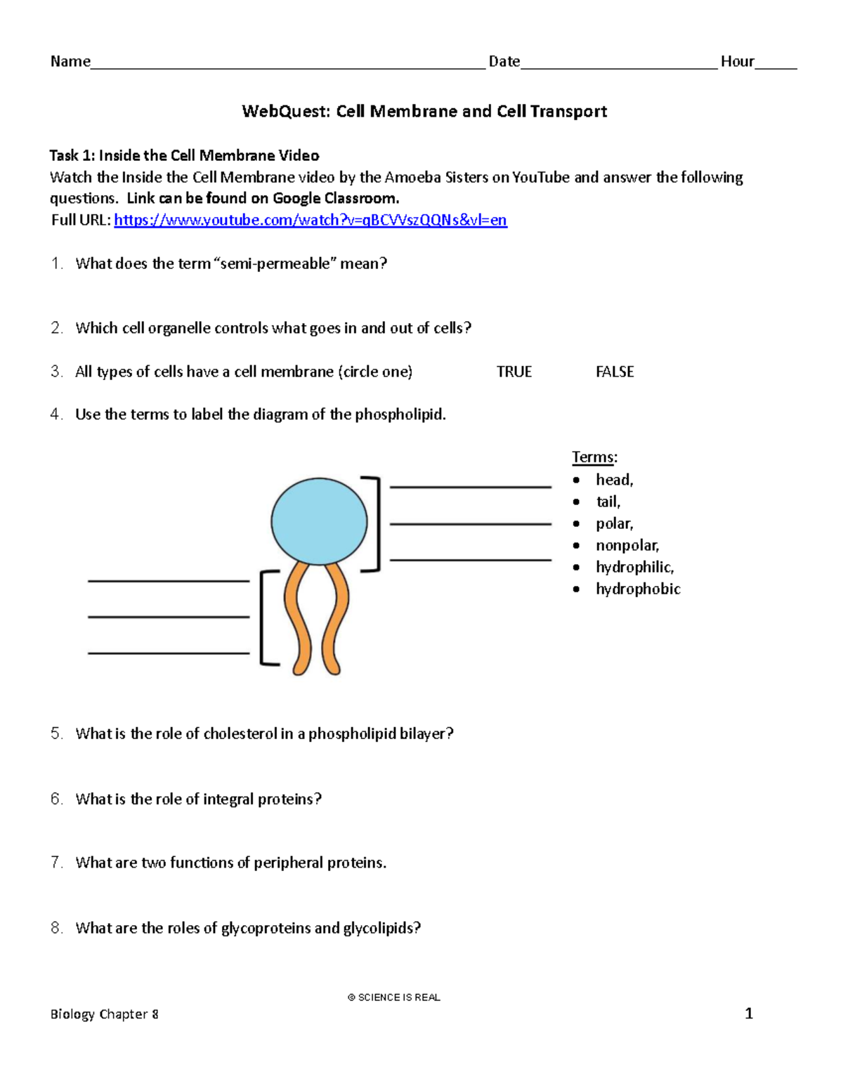 06 WebQuest: Cell Membrane & Transport Tasks for Biology 2024 - Studocu