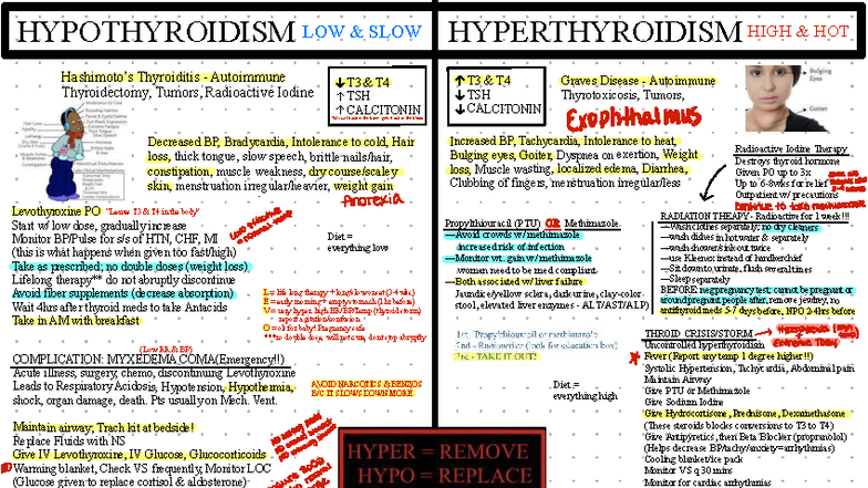 Endocrine Exam 2 Review: Hypothyroidism, Hyperthyroidism, and More ...
