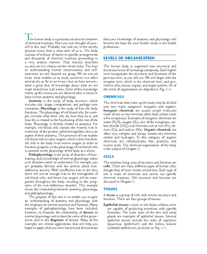 2020 BBO Answers - biology - 2020 British Biology Olympiad British ...