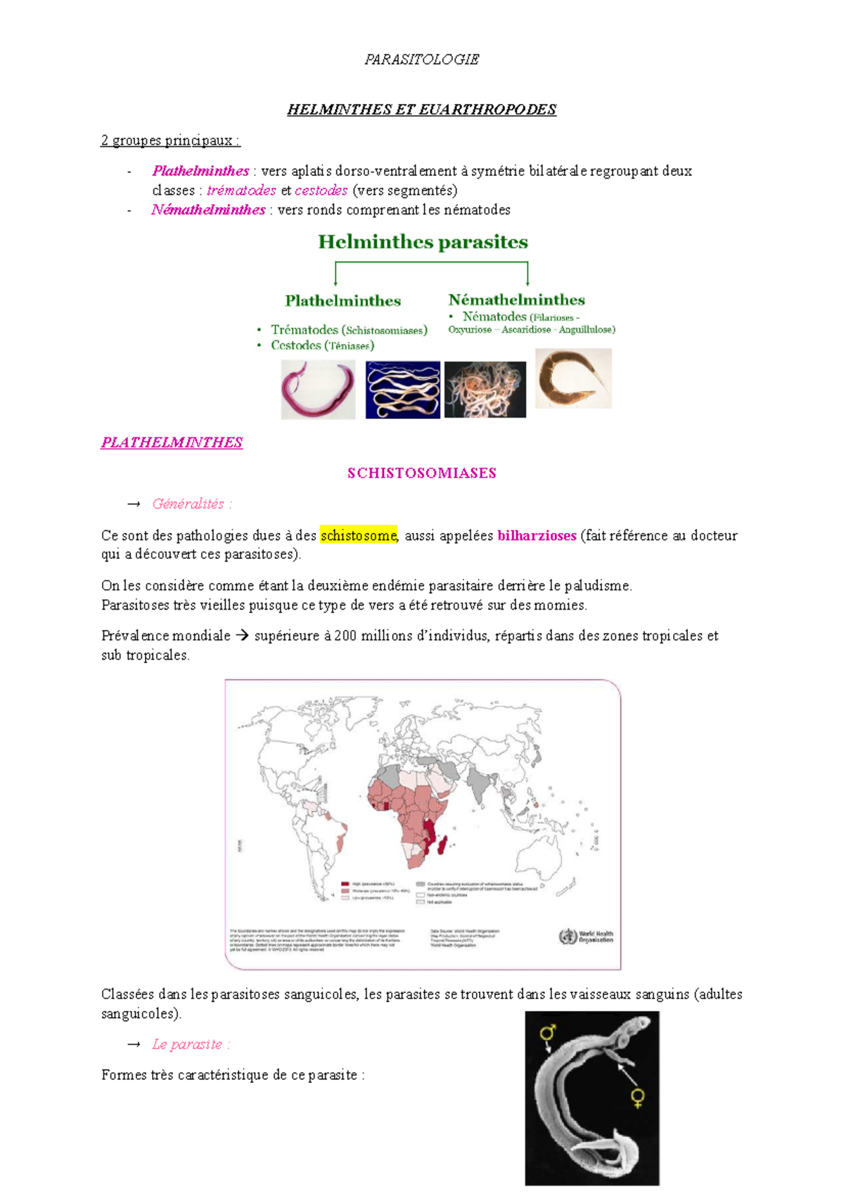 Étude des Helminthes et Euarthropodes : Introduction et Types d ...