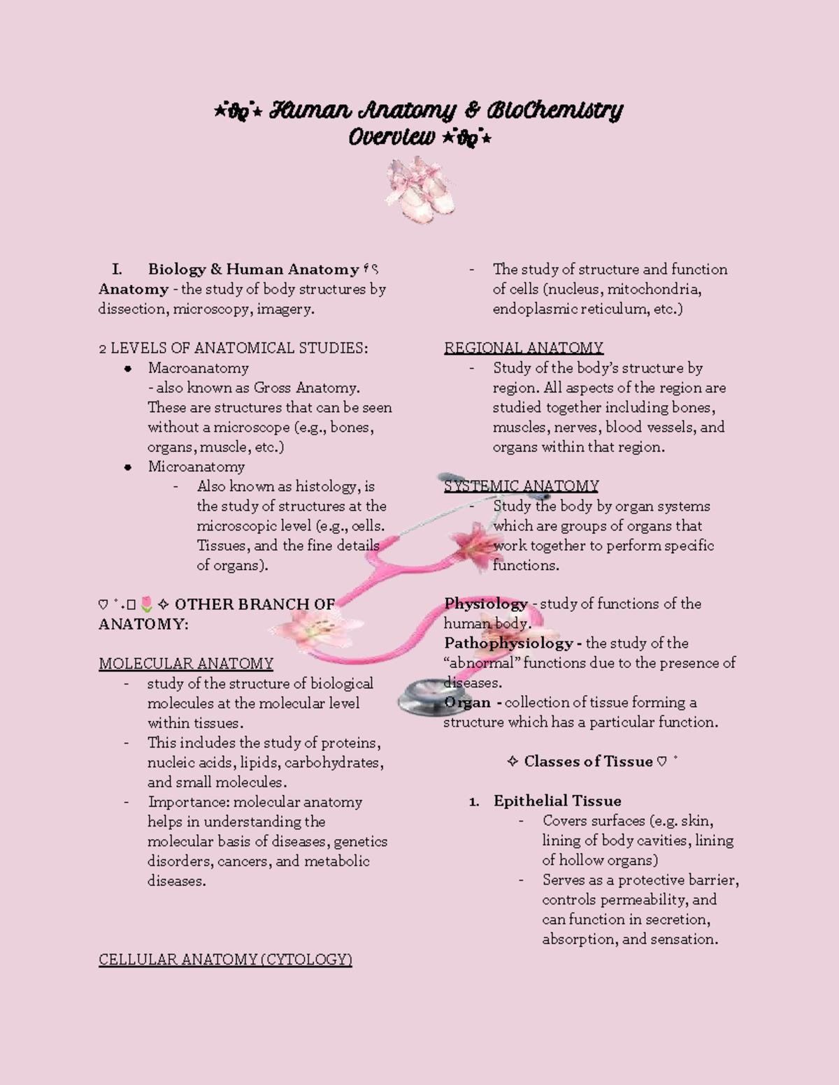 ⋆˚ Human Anatomy & Biochem Overview⋆ - ⋆ ̊𝜗𝜚 ̊⋆ Human Anatomy ...
