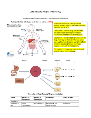 FNP OSCE SOAP Note Template - FNP OSCE SOAP Note Date of Visit OSCE ...