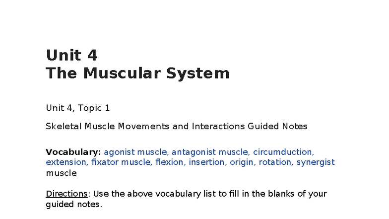 Skeletal Muscle Movements & Interactions - Unit 4 The Muscular System ...