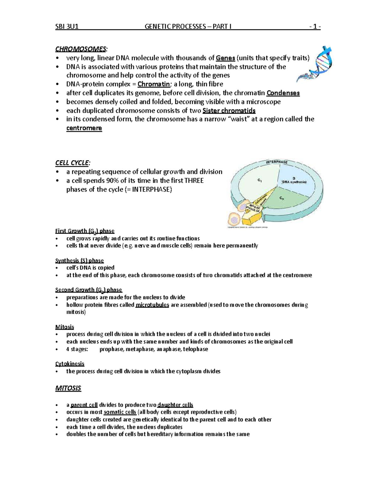 SBI 3U1 Genetic Processes - Part I Lecture Notes - Studocu