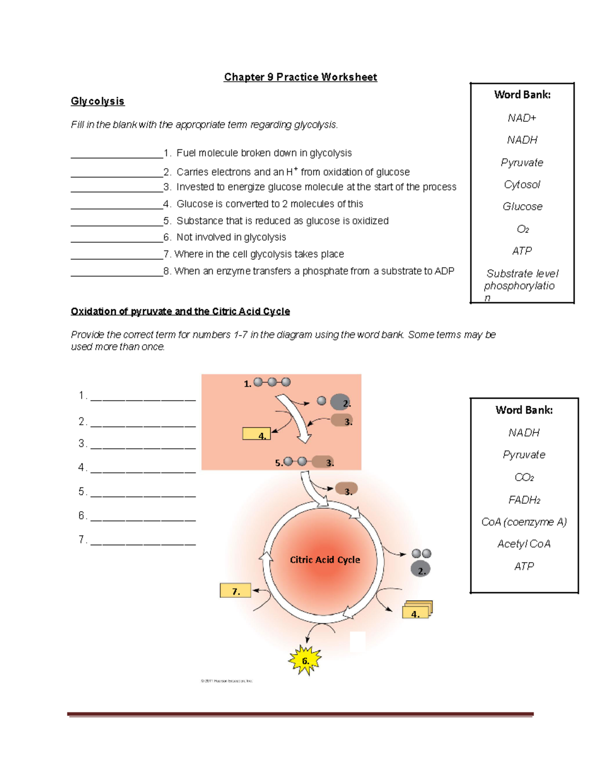 Chap 9 Worksheet - This is coursework for Chapter 9 for Introductory ...