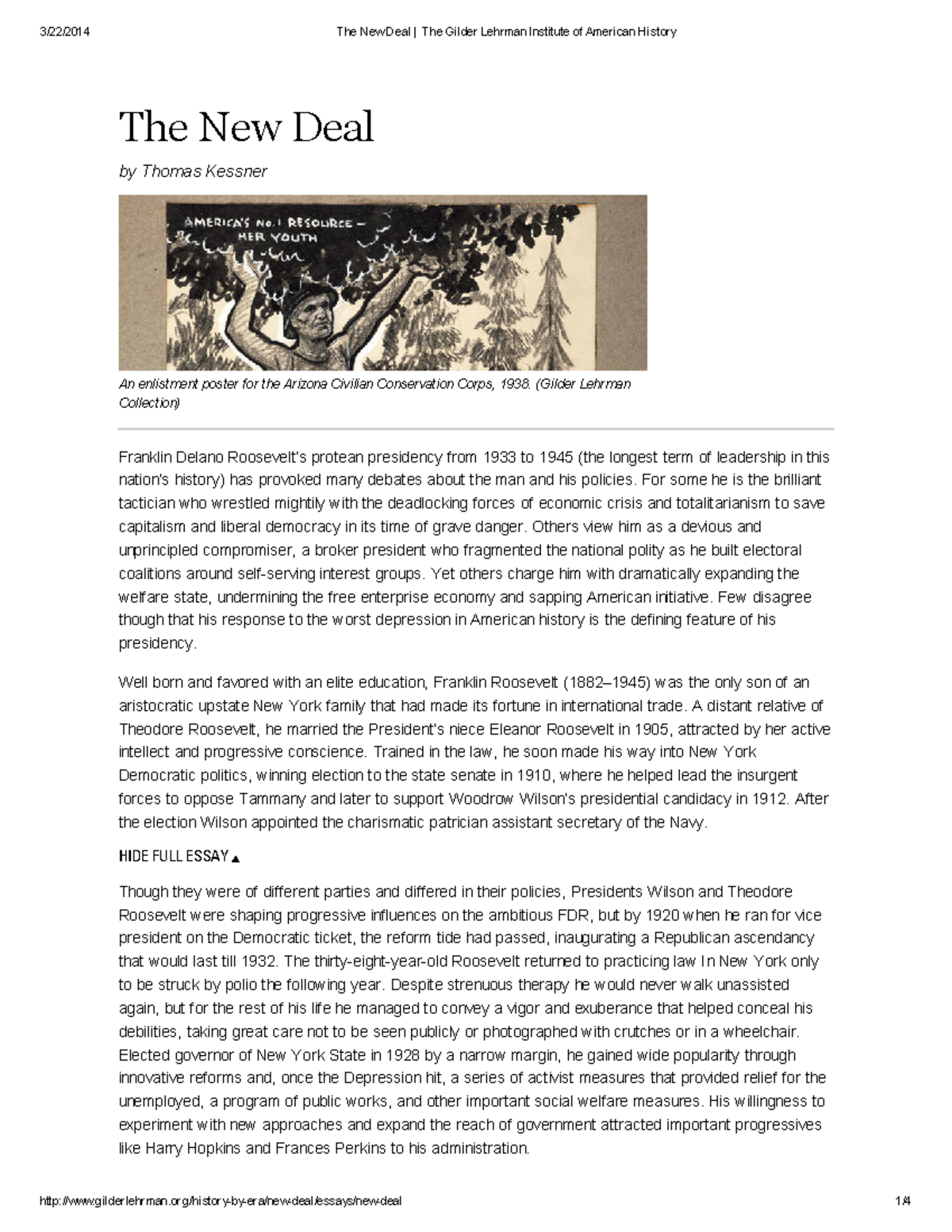 The New Deal: Analysis and Insights - History Essay (HIST 101) - Studocu