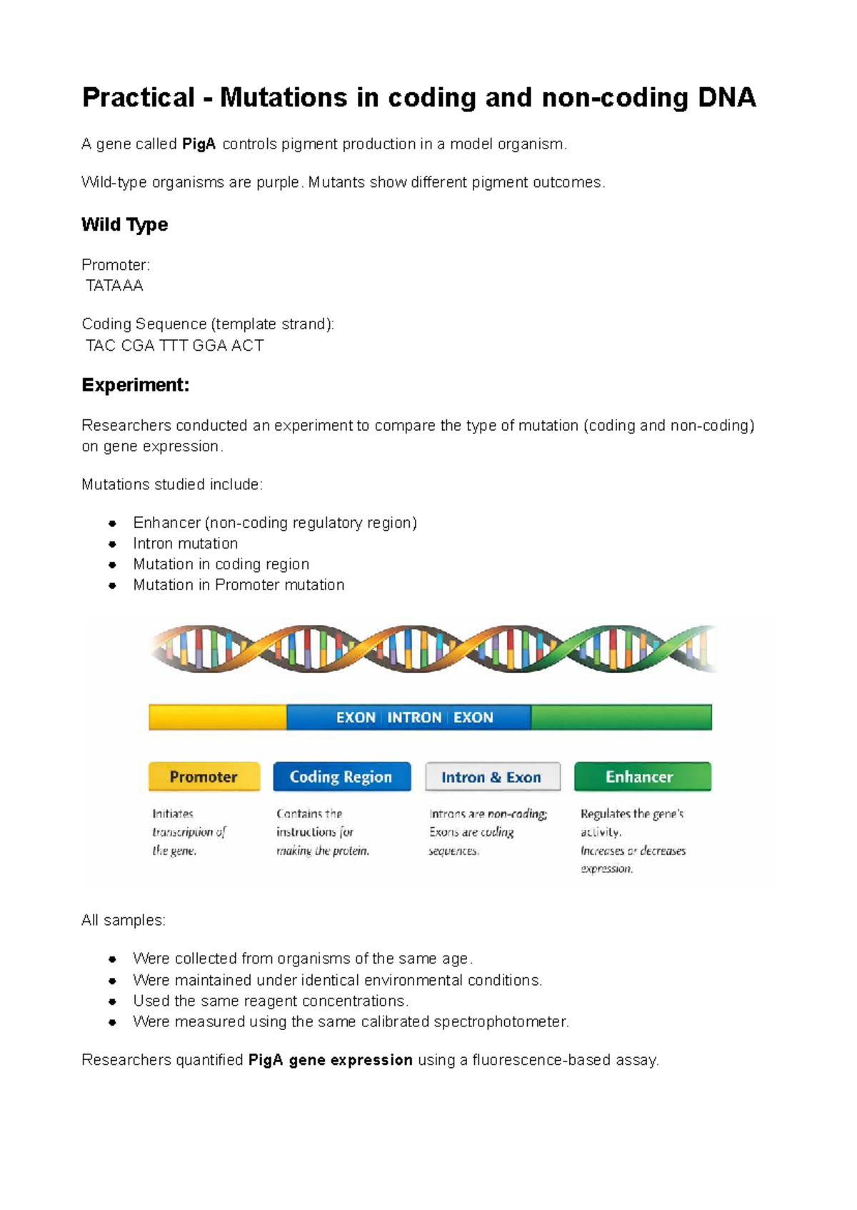 Practical Study: Mutations in Coding & Non-Coding DNA Analysis - Studocu