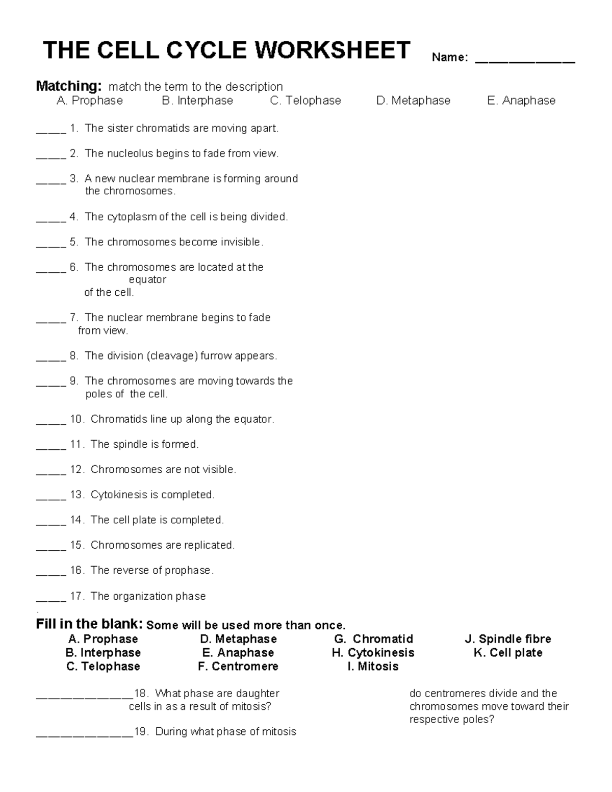 Cell Cycle Worsheet - THE CELL CYCLE WORKSHEET Name ...