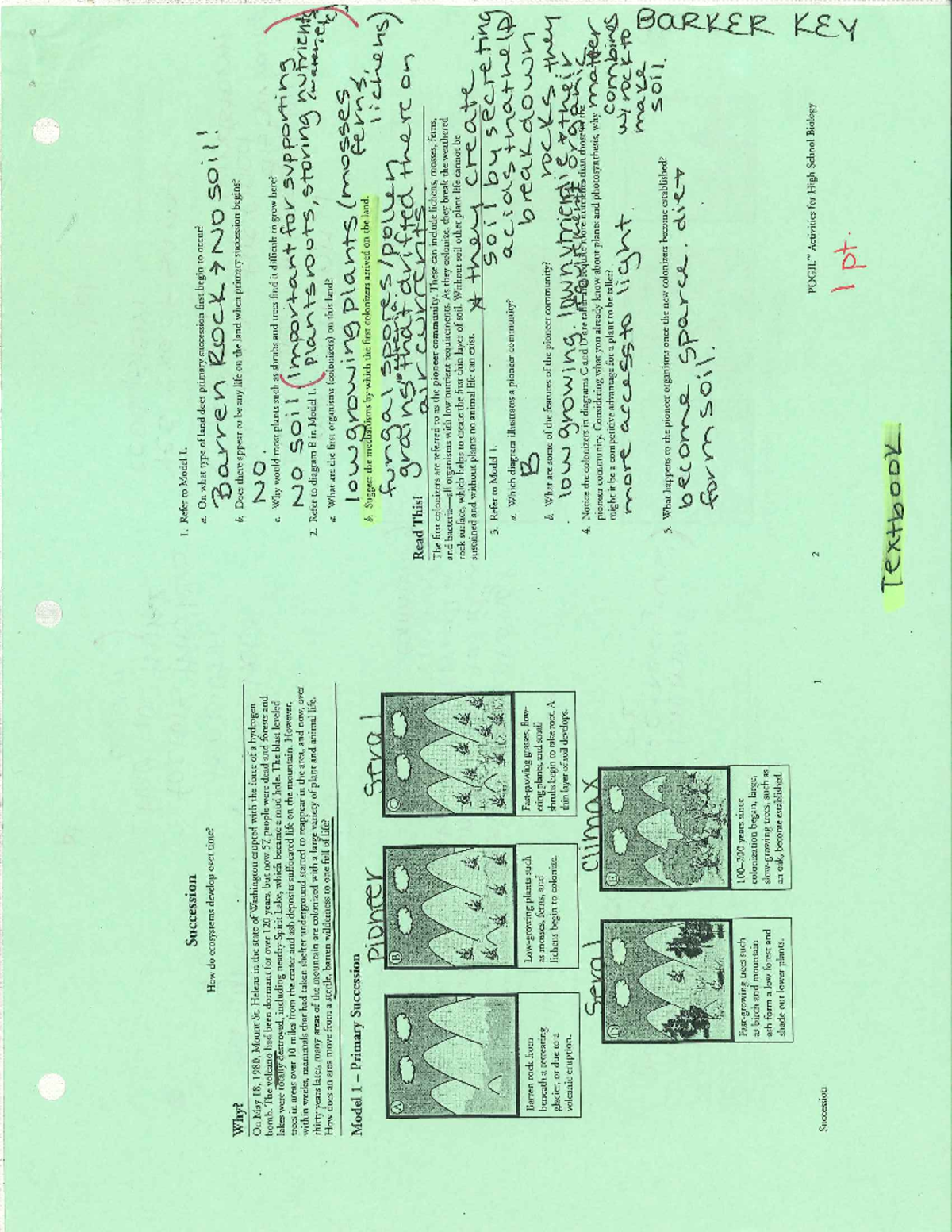 Succession Answer Sheet: Understanding Primary and Secondary Ecosystem ...