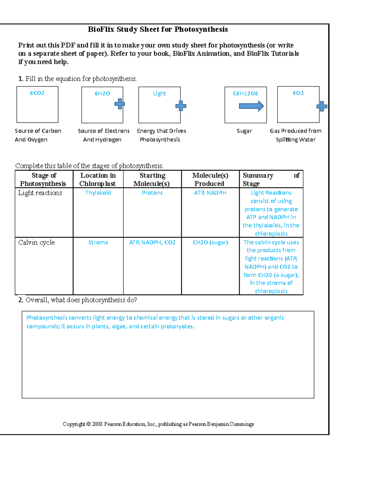 Ch 8 Photosynthesis Study Sheet and Worksheet - Studocu