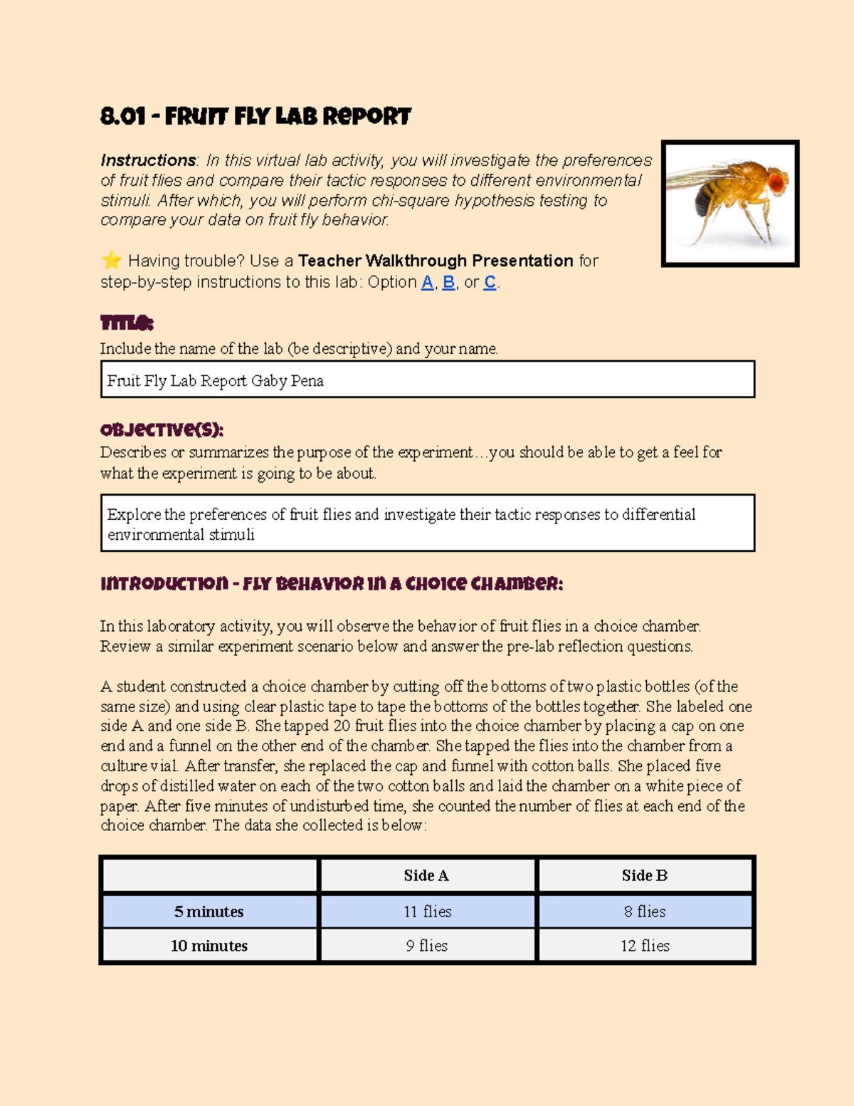 8.01 Fruit Fly Lab Report - Gaby Pena's Insights on Fly Behavior - Studocu