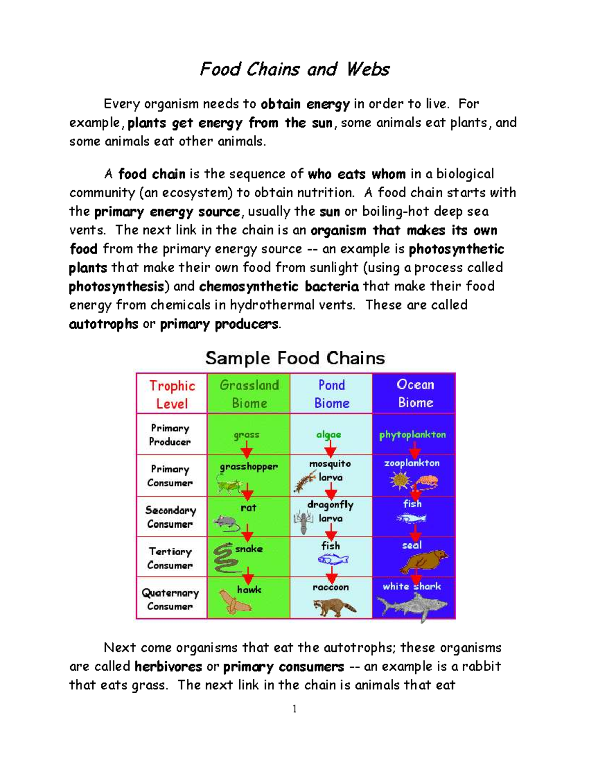 Haiba Bahy - Food Chains and Webs: Understanding Energy Flow - Studocu