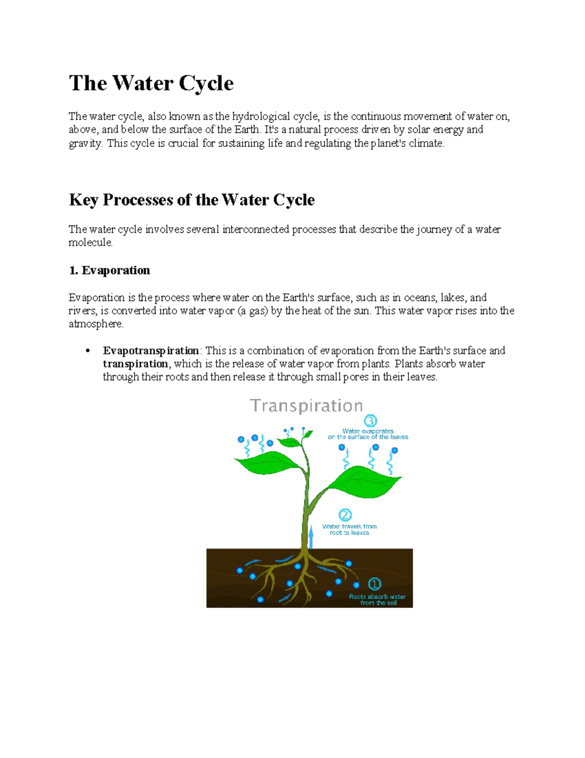 The Water Cycle: Key Processes and Importance in Nature - Studocu