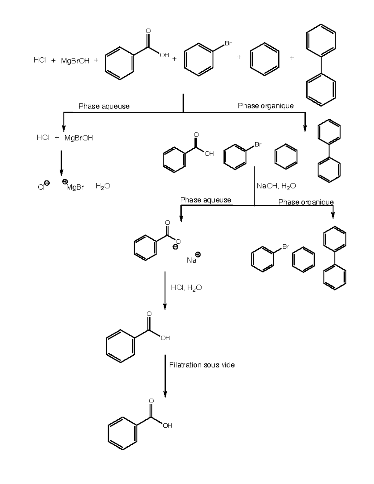 Organigramme Lab 6 - CHM1721 - HCl MgBrOH OH O Br + + + + + HCl ...