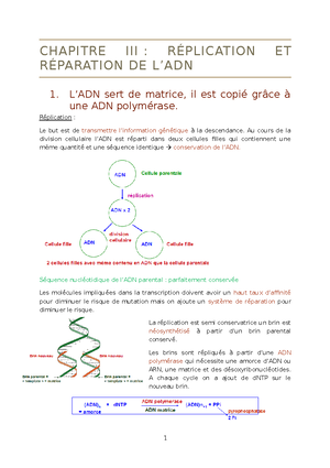 Chap 9 -Structure et fonction de l myoglobine et de lhémoglobine ...