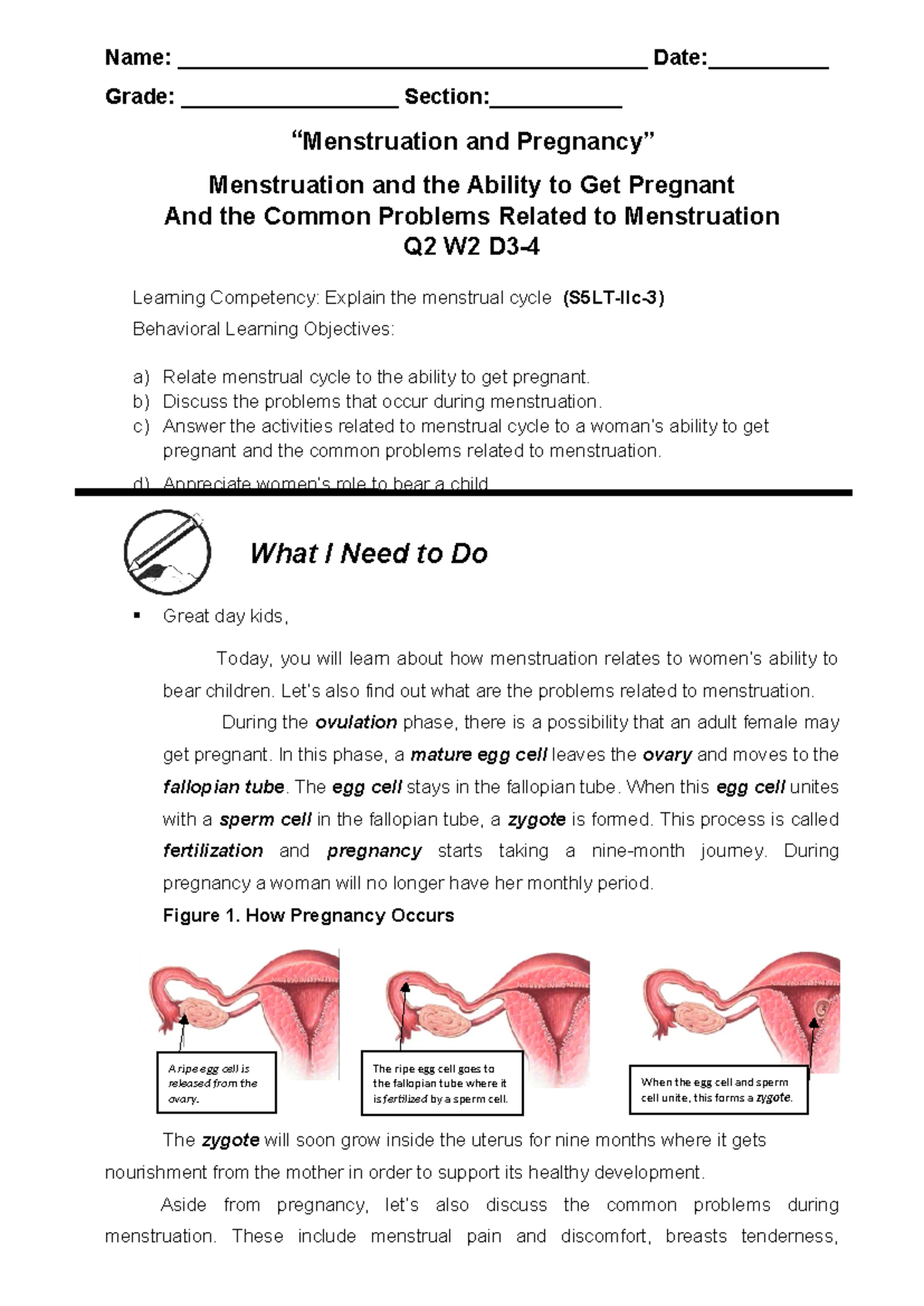 Menstruation and Pregnancy: Understanding the Cycle and Its Challenges ...