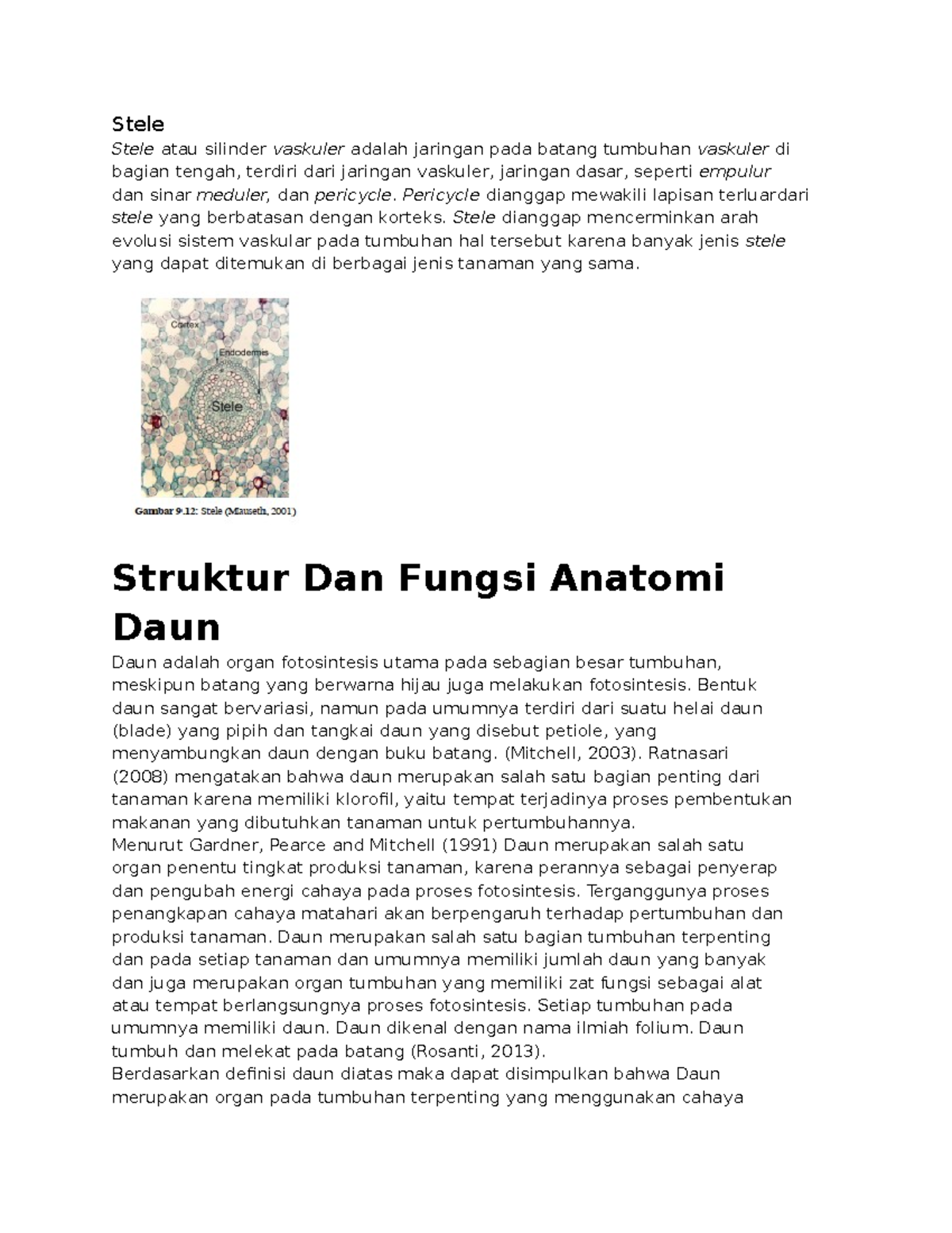 Stele dan Fungsi Struktur Daun dalam Tumbuhan Vaskuler - Studocu
