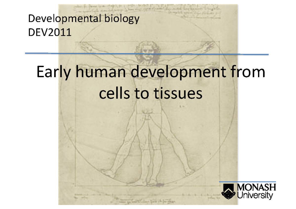 Developmental Biology DEV2011 Lecture 1: Early Human Development ...