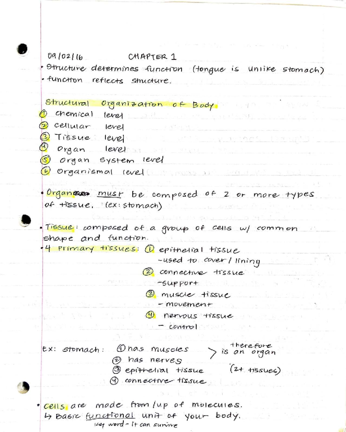 ANATOMY 101: CHAPTER 1 - Structure and Function of the Body Systems ...