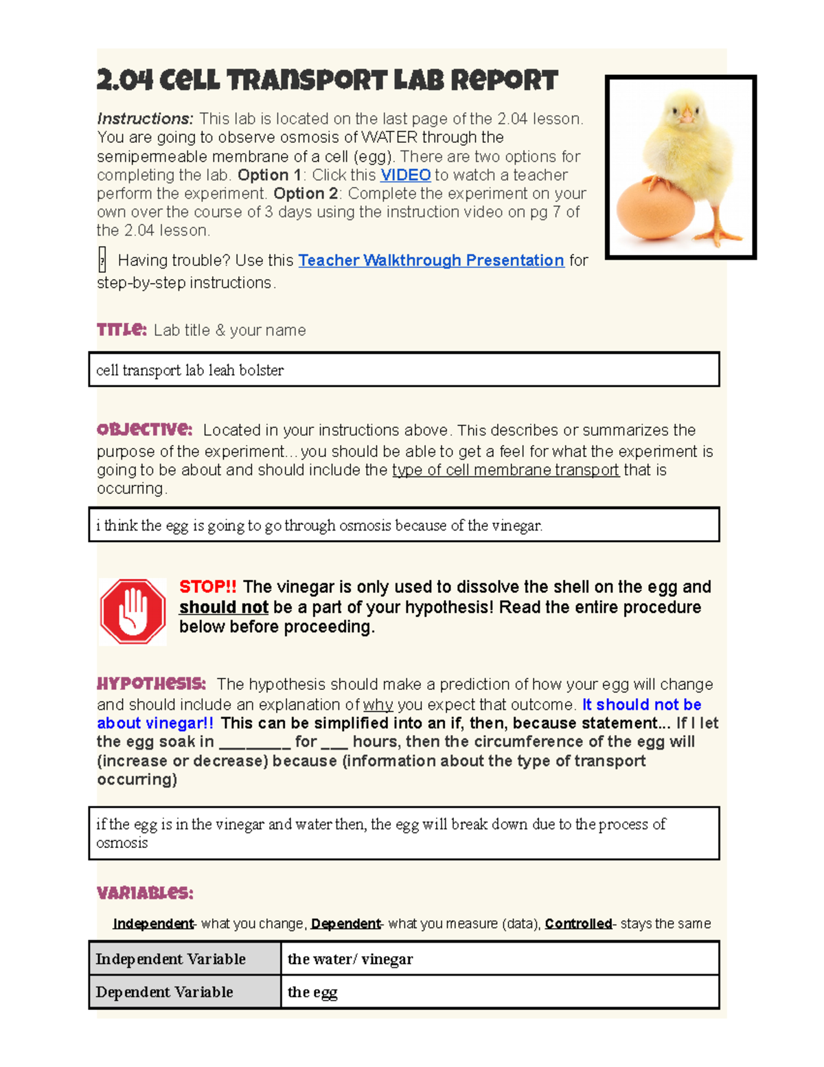 2 04 Cell Transport Lab Report Template - Osmosis Experiment ...